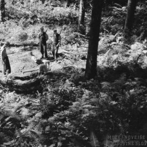 Kočevski rog - Baza 20 - Dolenjski muzej